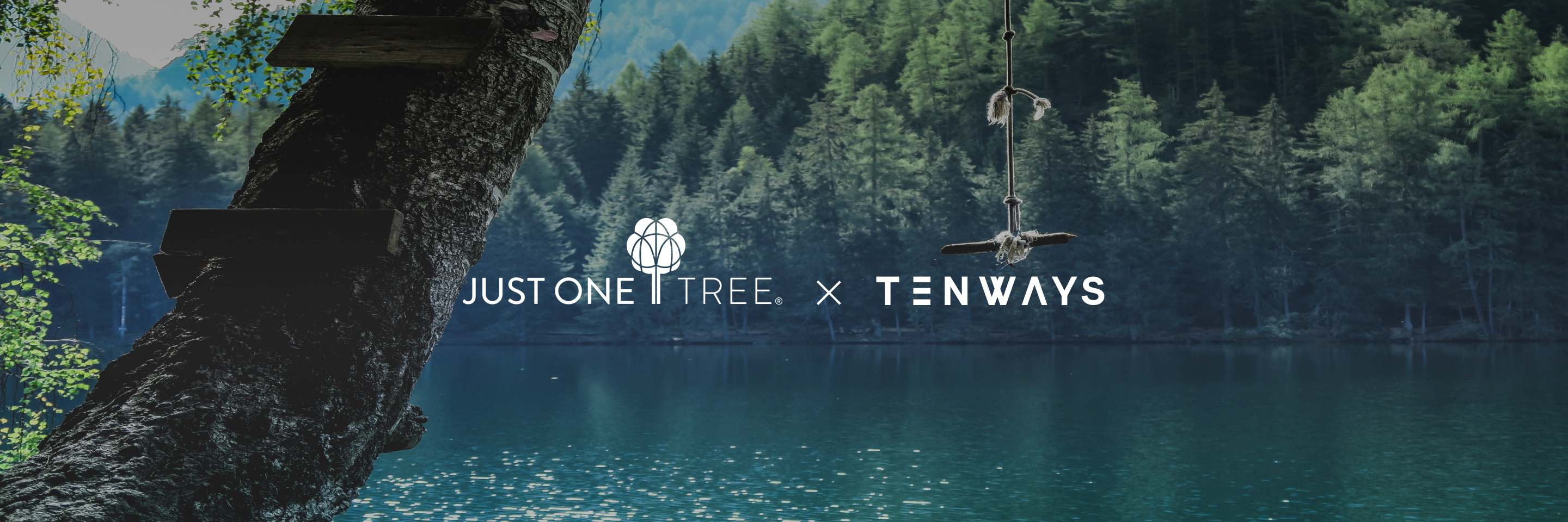 TENWAYS celebrates global sustainability milestone with Just One Tree
