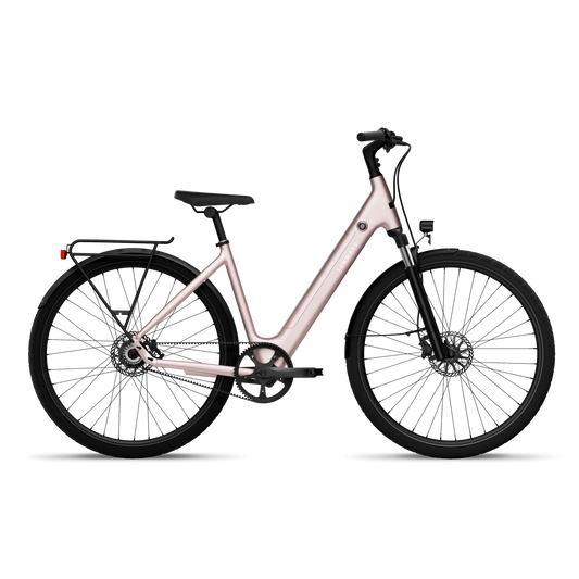 Display Elektrische Fiets: Alles Wat U Moet Weten - TENWAYS