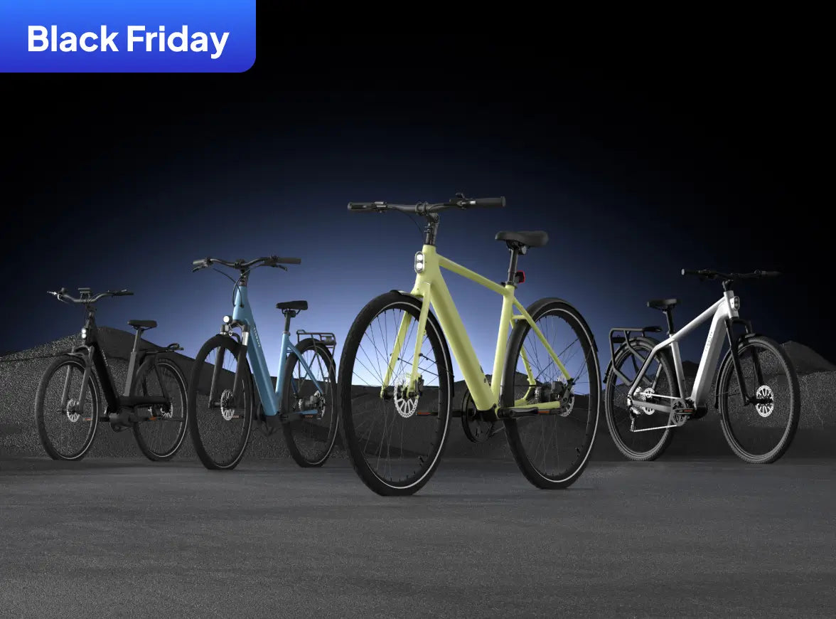 Electric Bike Displays: Everything You Need to Know - TENWAYS